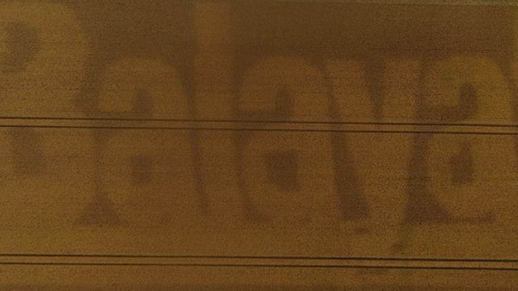 Balaya - kemiaa kaikkien viljojen kasvitautien torjuntaan